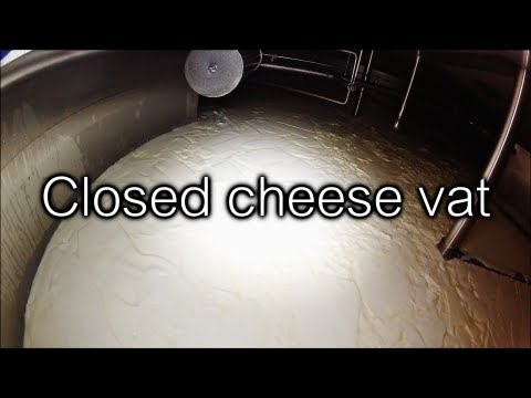 Cheese Vat at Best Price in India