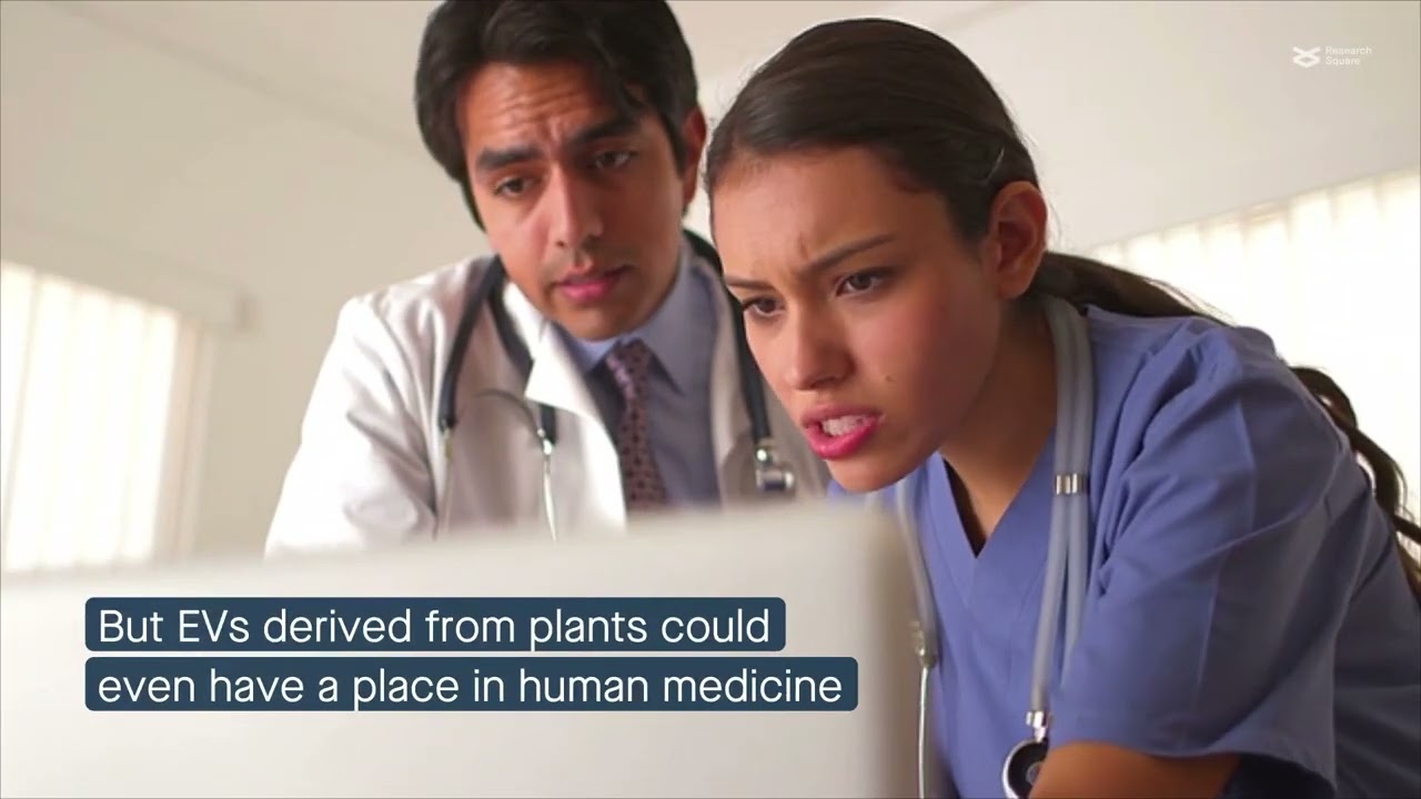 Plant-derived Extracellular Vesicles: a novel nanomedicine approach with advantages and challenges