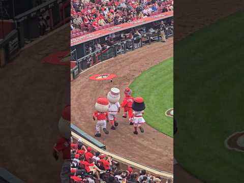 Sunday Mascot Race #reds #mascot #redlegs #rosie #gapper #redsbighead #sunday #mlb #race #fyp #love