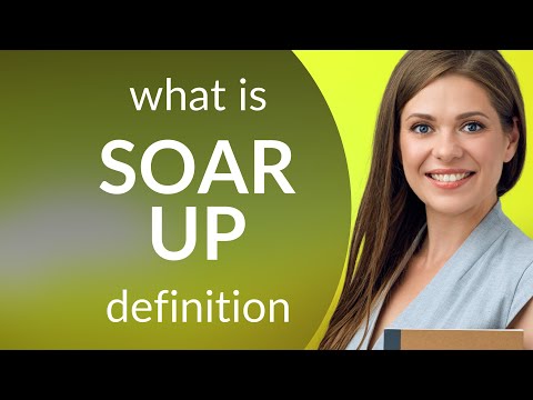 Soar up | meaning of SOAR UP