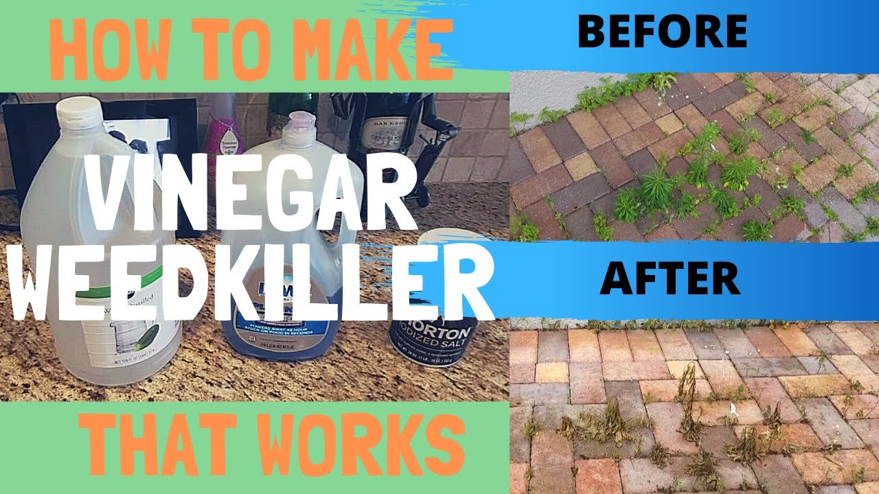 Homemade Vinegar Weed Killer That Actually Works — Safe for Kids & Pets