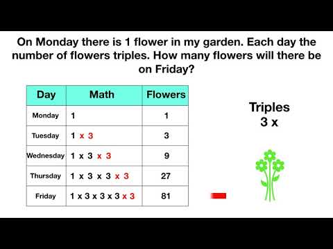 Prime Factorization Patterns