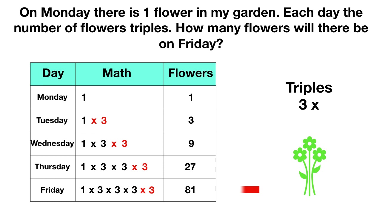 Prime Factorization Patterns