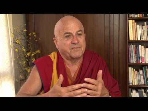 What is Altruism?