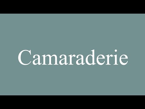 How to Pronounce ''Camaraderie'' Correctly in French