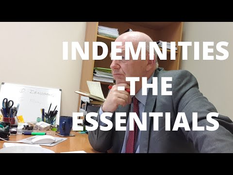 Indemnities-the Essentials of Legal Indemnities