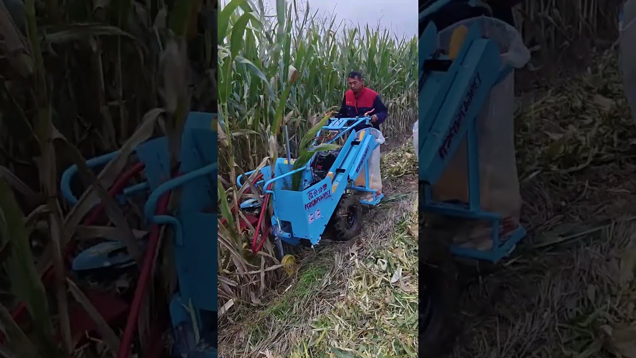 MULTIFUNCTIONAL CORN MACHINE: EFFICIENCY IN THE FIELD