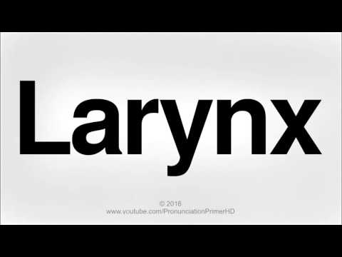 How To Pronounce Larynx | Pronunciation Primer HD