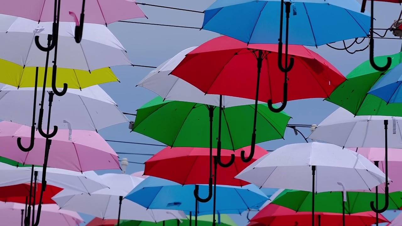Colorful umbrellas on the street - Royalty free stock video