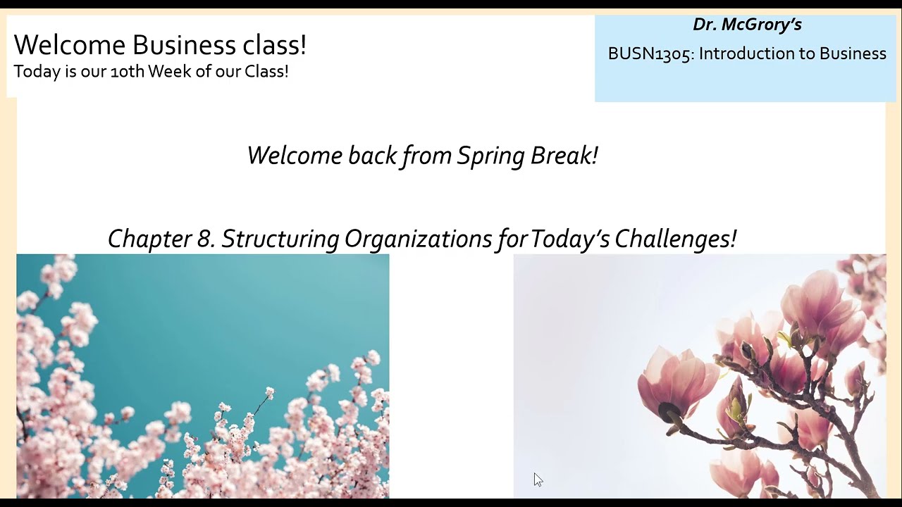 Chapter 8 Organization Structure for BUSN1305: Introduction to Business
