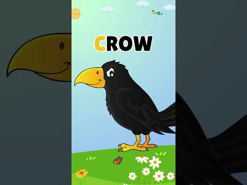 🐦⬛It’s a Crow, flying in the sky! Letter C Song for Kids | Learn the Alphabet