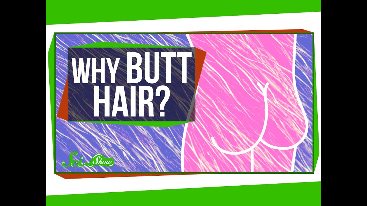 Why Do We Have Butt Hair?