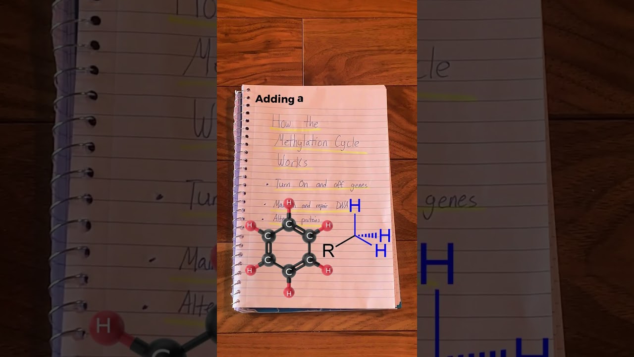 How Methylation Works