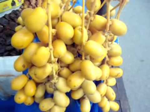 Fresh Dates - Wholesale Price & Mandi Rate for Raw Dates