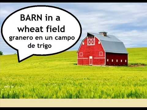 WORDS and MEANING / barn (images)
