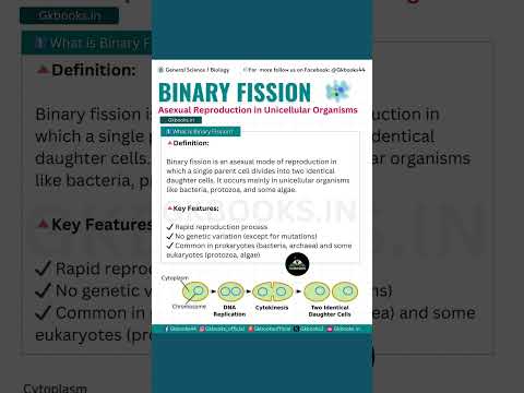 Binary Fission | Biology
