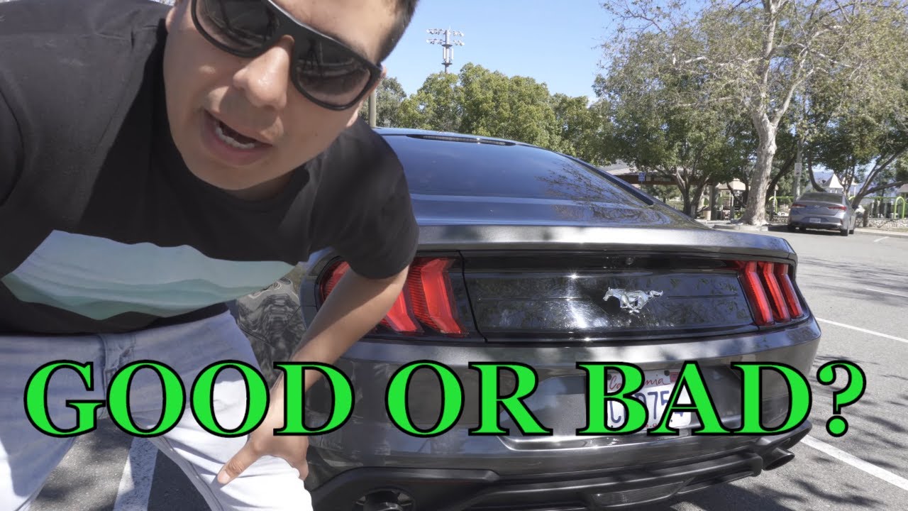 Why Ford Mustang Ecoboost is better than you think  4K