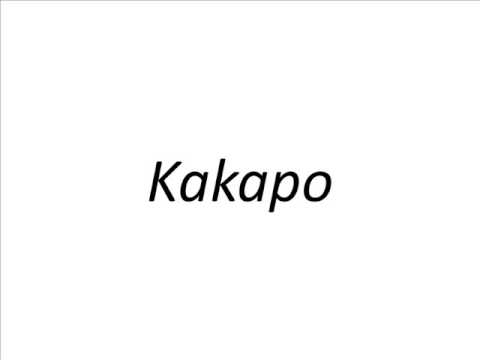 How to Pronounce Kakapo