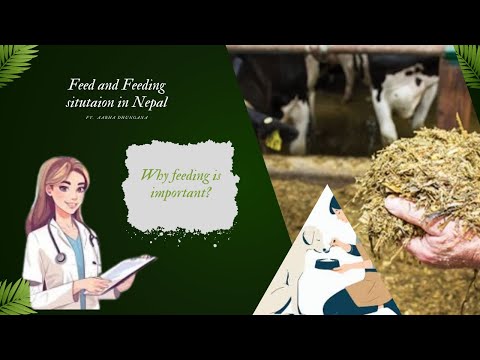 Feed and feeding situation in Nepal