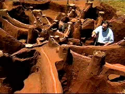 Formigueiro: exemplo de arquitetura e urbanismo | Laboratório Virtual ...