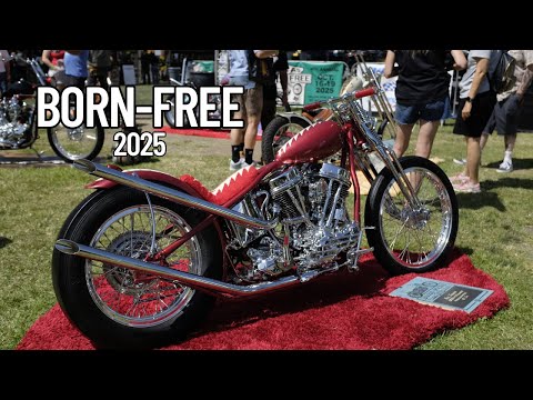 Born Free 2025 invited builders section #DicEtv