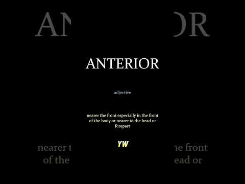 Anterior #How to pronounce and meaning of the word #learnenglish #vocab #vocabulary #english learn