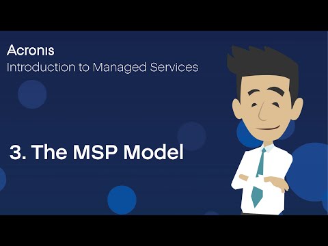 3. The MSP Model