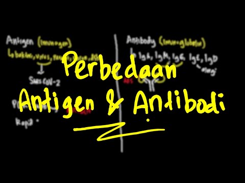 Perbedaan Antigen dan Antibodi | Penjelasan Singkat, Jelas dan Padat!