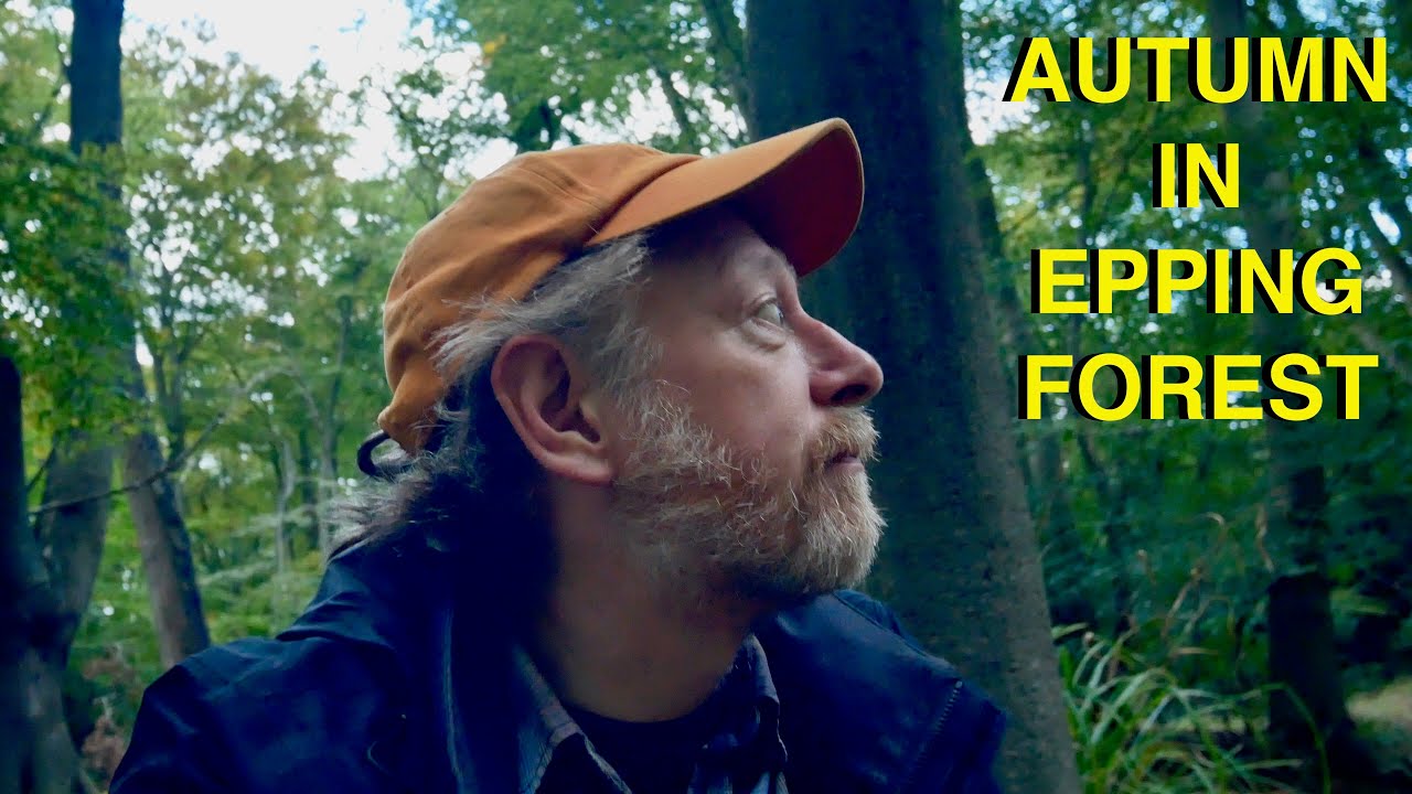 The Lost Pond | Autumn Walk in Epping Forest (4K)
