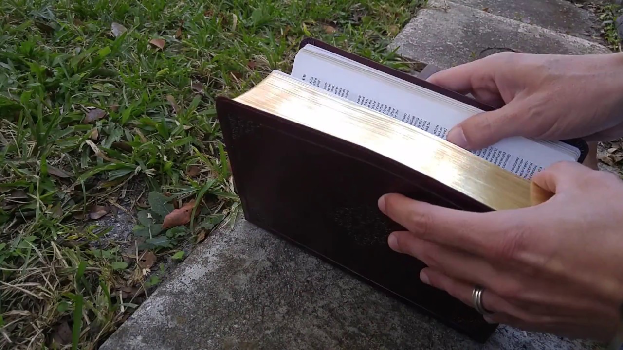 Review: ESV Study Bible in Trutone