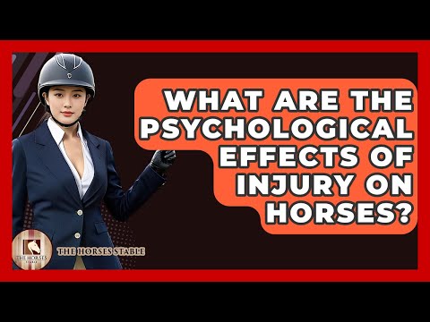 What Are The Psychological Effects Of Injury On Horses? - The Horses Stable