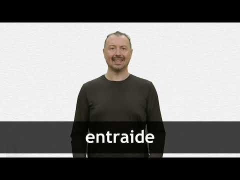 English Translation of “ENTRAIDE” | Collins French-English Dictionary