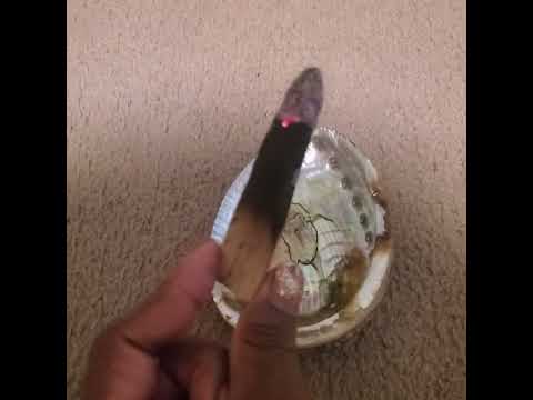 Burning Palo Santo Vs Non Burning Palo Santo