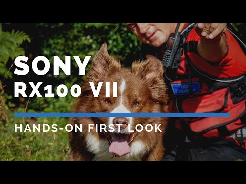 Sony RX100 VII | Hands-On First Look