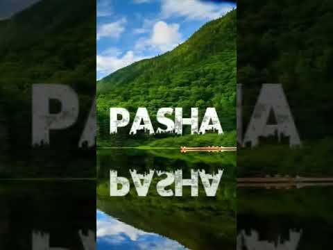 #pasha#pasha all name