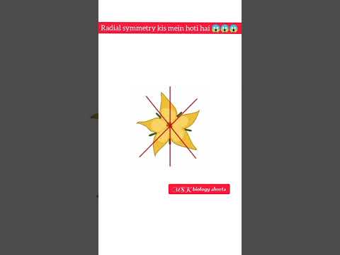 radial symmetry kis mein hoti hai 😱😱😇#shorts #Msk biology shorts