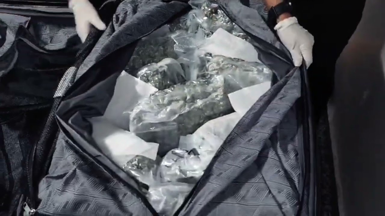 EN AILA: ATRAPAN MUJER CON 45 PAQUETES PRESUMIBLEMENTE MARIHUANA Y OTRAS SUSTANCIAS