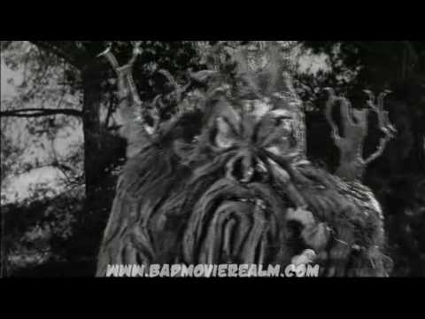 [From Hell It Came]  Killer Tree Attacks!