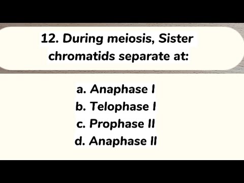 Multiple choice questions on Meiosis