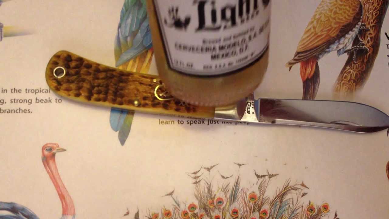 Case BackPocket Update