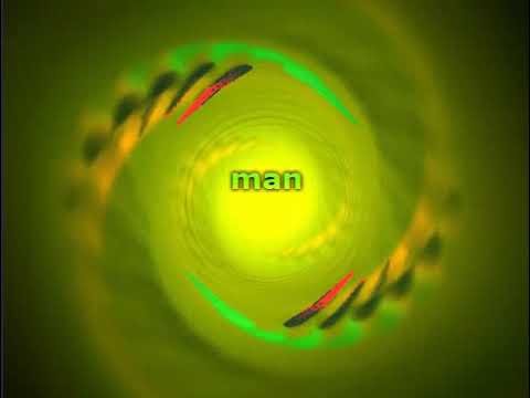The Allman Brothers Band - Ramblin' Man (Lyrics)
