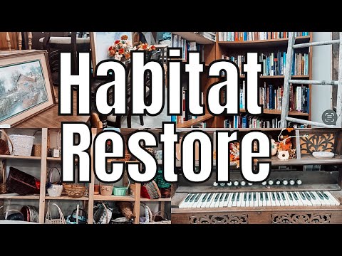 Habitat Restore shop with me | thrift shop with me 2024