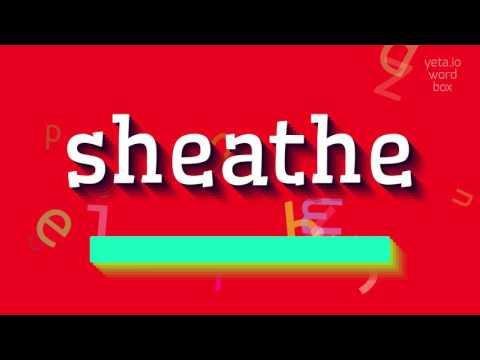 How to say "sheathe"! (High Quality Voices)