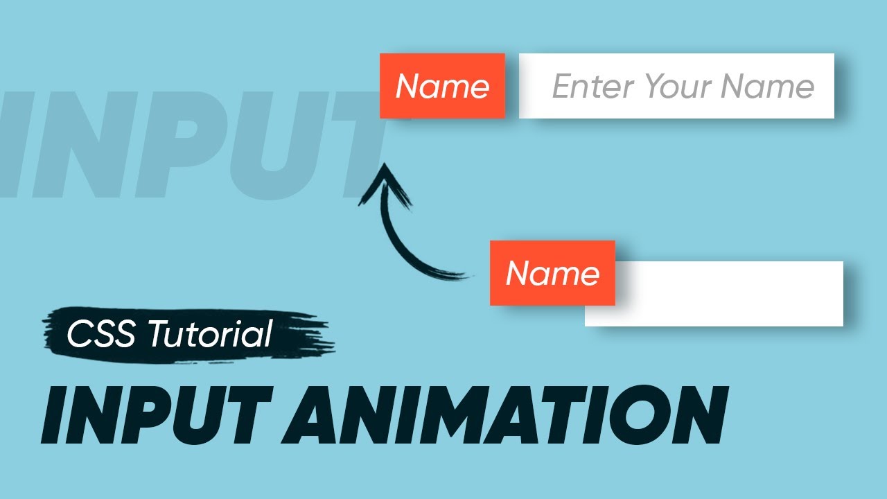 Input Animation Using Html & CSS | CSS Label Float Animations