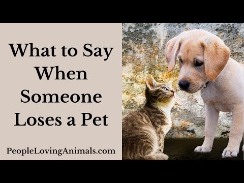 What to Say When Someone Loses a Pet | Comforting Words for Loss of a Pet | Pet Loss | Pet Grief