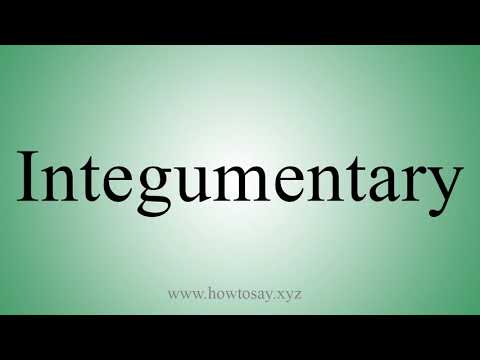 Pronounce Integumentary as an Australian