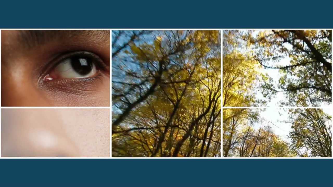 2011-12 Annual Report: THINK AHEAD