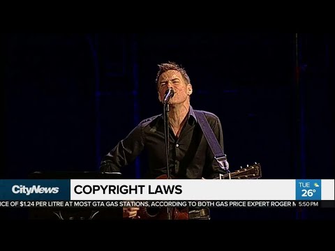 Bryan Adams fights for artists' copyright laws