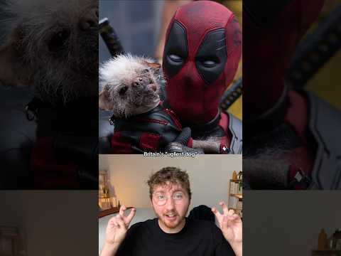 ‘Britain’s Ugliest Dog’ Cast in Deadpool and Wolverine Movie
