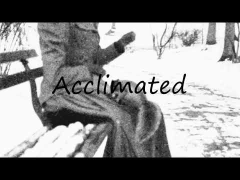 How to Pronounce Acclimated?